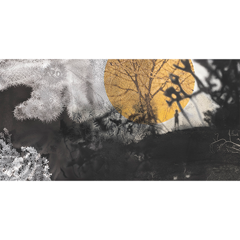 Joan Robey — LOIS LAMBERT GALLERY