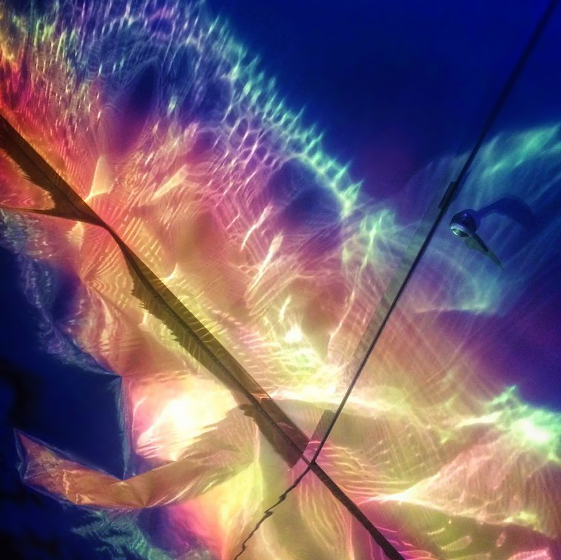 MAJA PETRIC Immersive Installation Art and Dynamic Light Sculptures