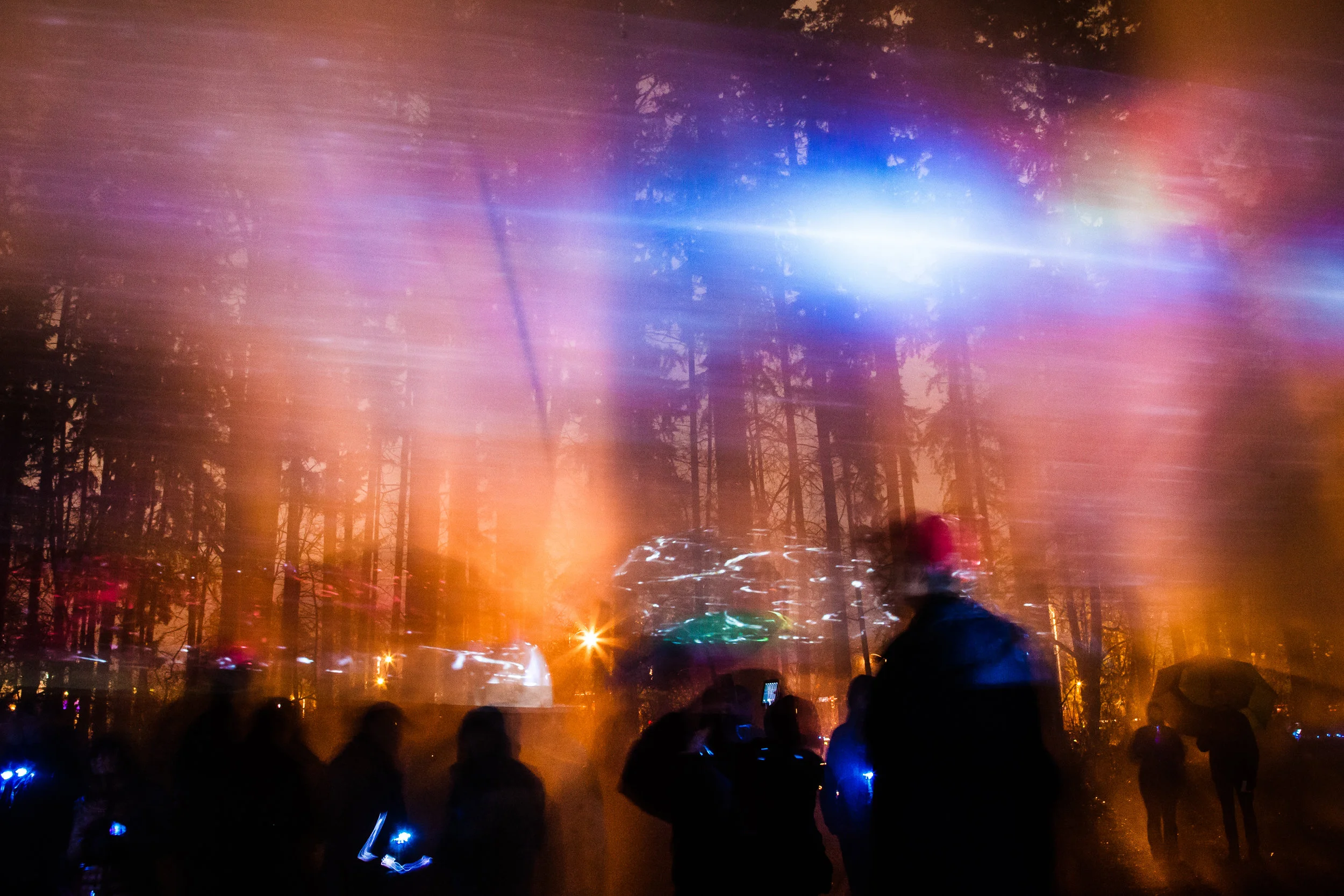 MAJA PETRIC Immersive Installation Art and Dynamic Light Sculptures