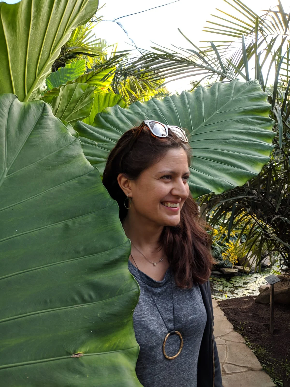 About — Rehanna Chaudhri