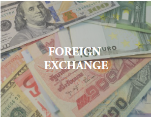 Investment Fund — Alternative Investments Club