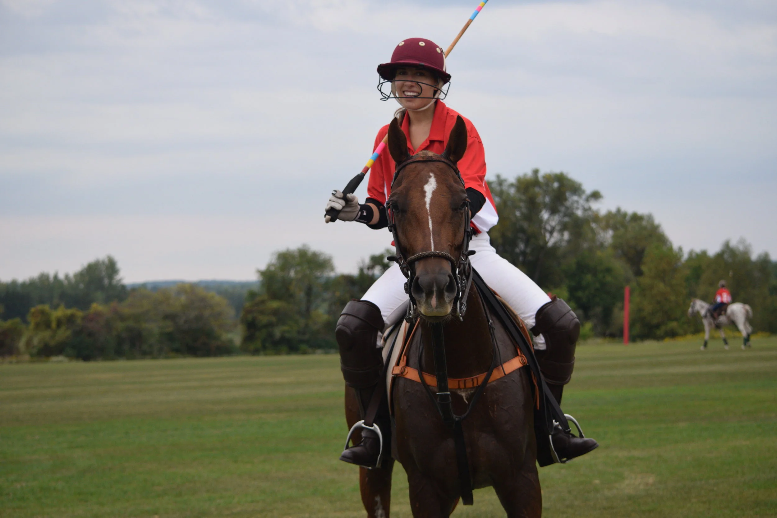 Your Guide to the Real Athletes on the Polo Field; Polo Ponies ...