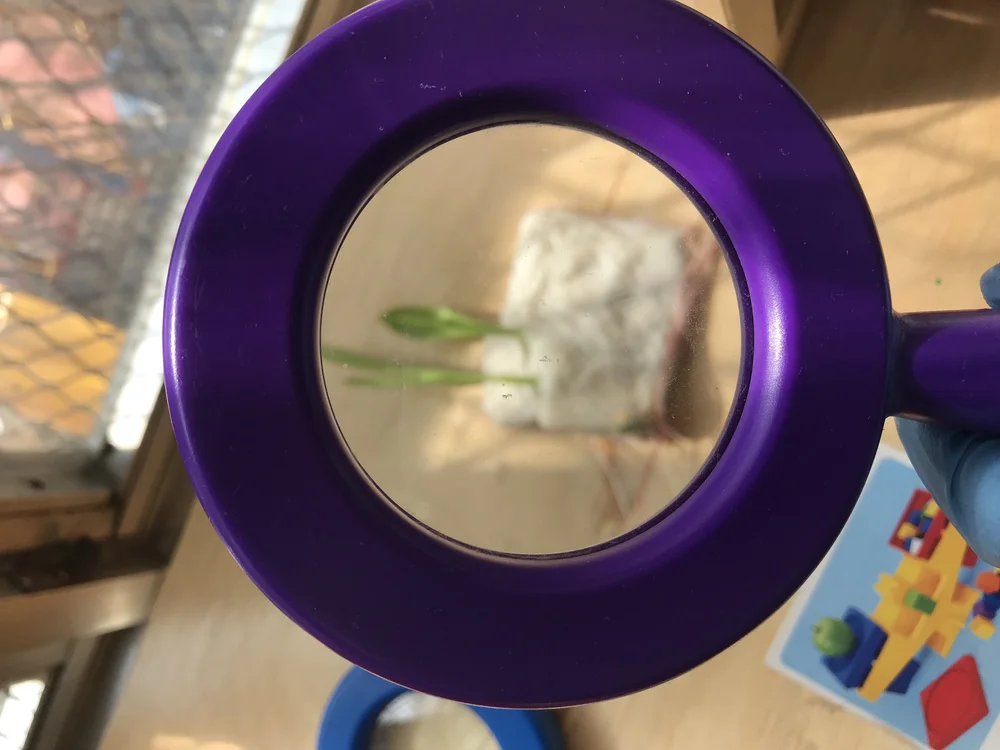 4 Ideas for a Nature Filled Day — Beetbox | Early Education STEAM ...