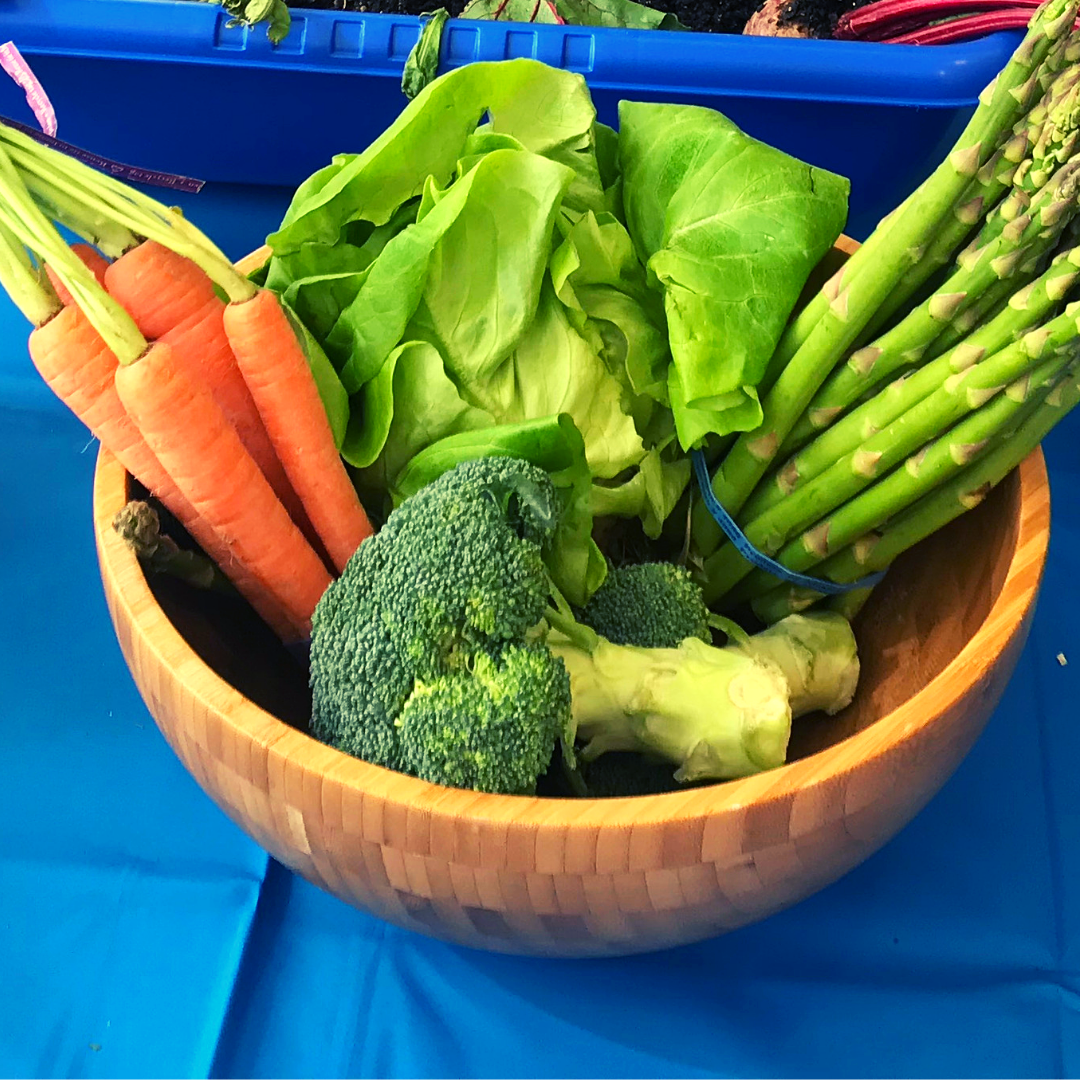 Tops and Bottoms - Lesson Plan and Sensory Bins — Beetbox | Early ...