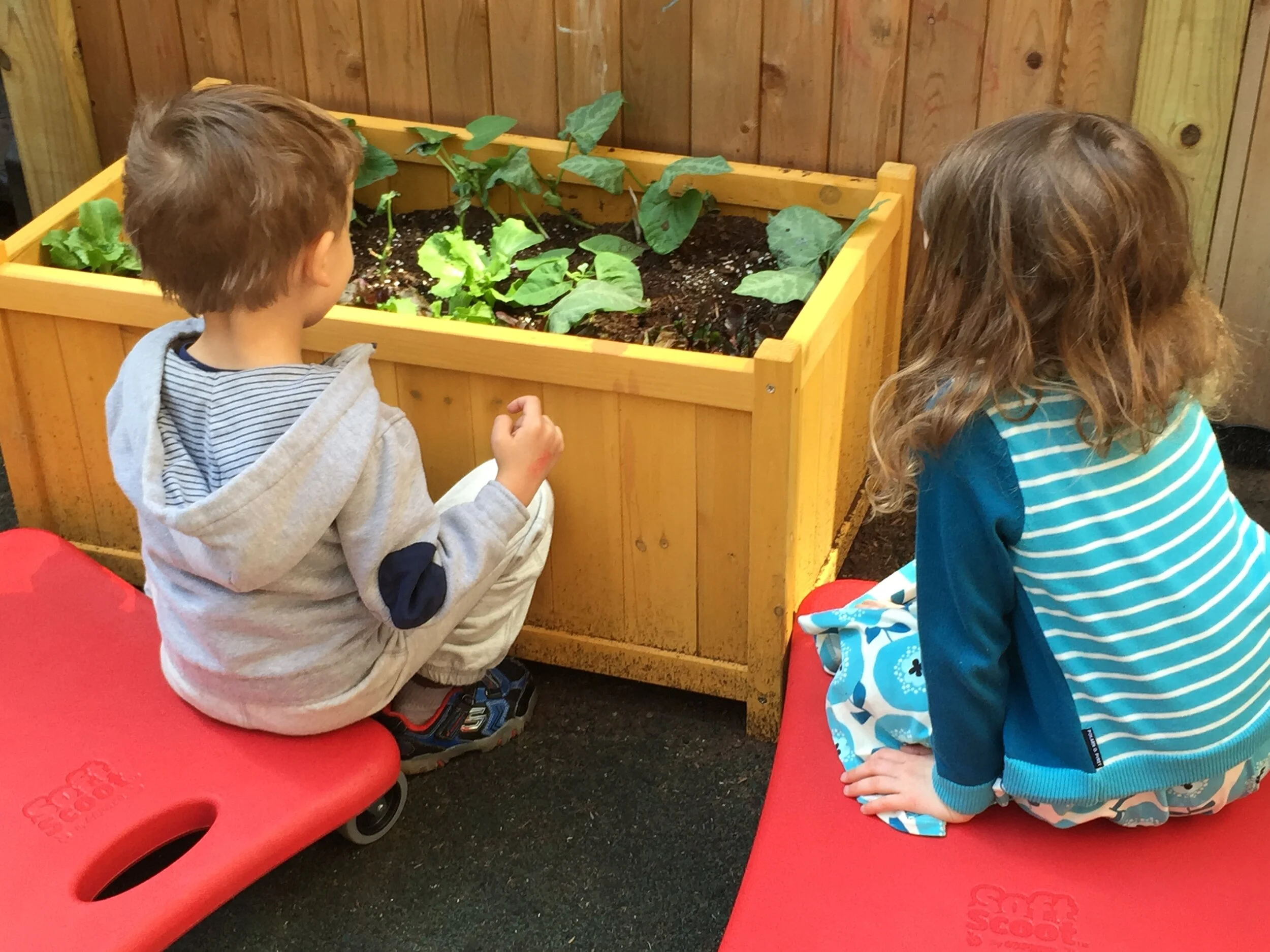 Beetbox FRESH — Beetbox | Early Education STEAM Learning Kits