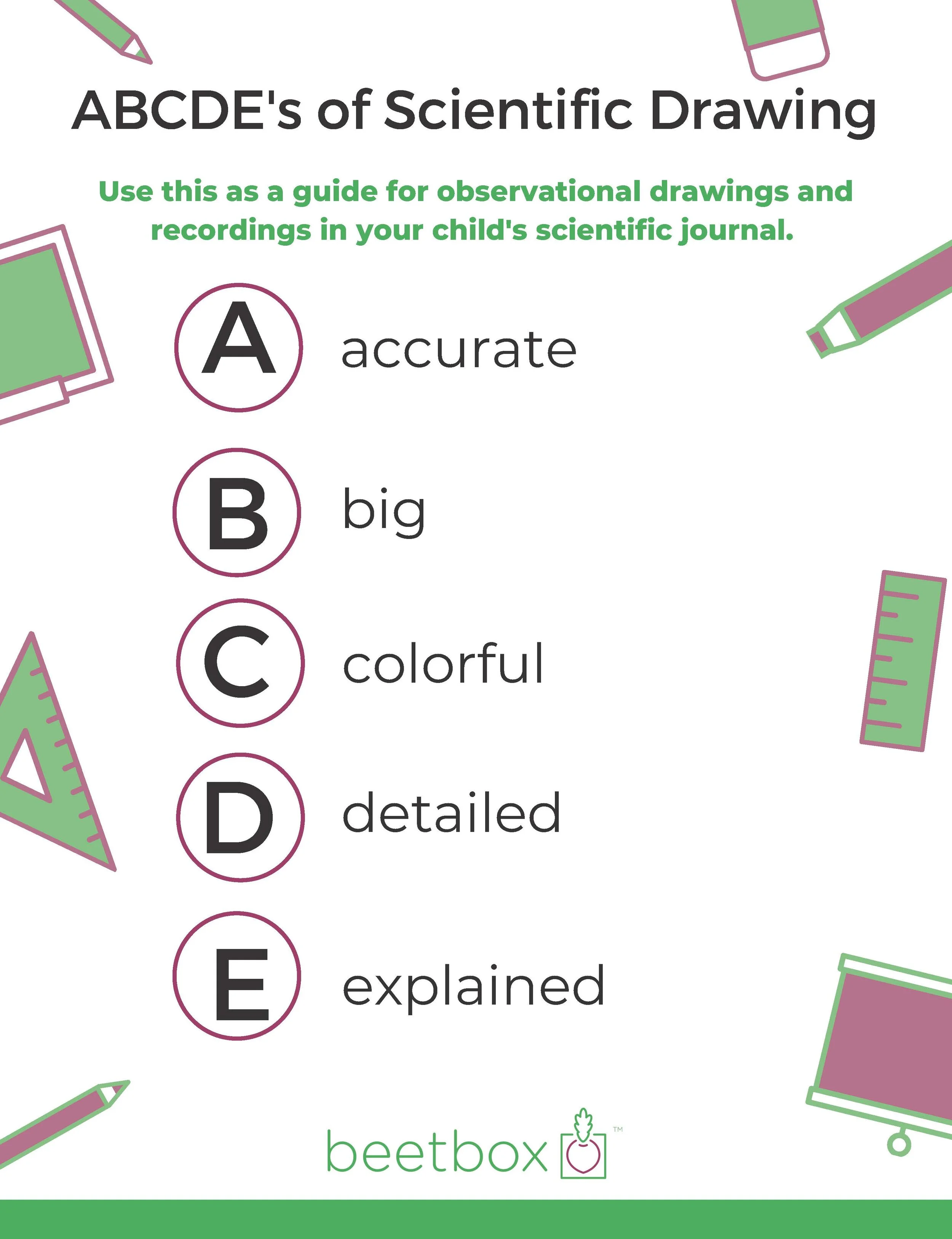 Easy Honey Sea Salt Hand Scrub (Child Friendly!) — Beetbox | Early ...