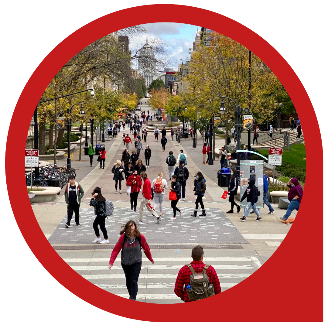 Individual Packages - The College Spy