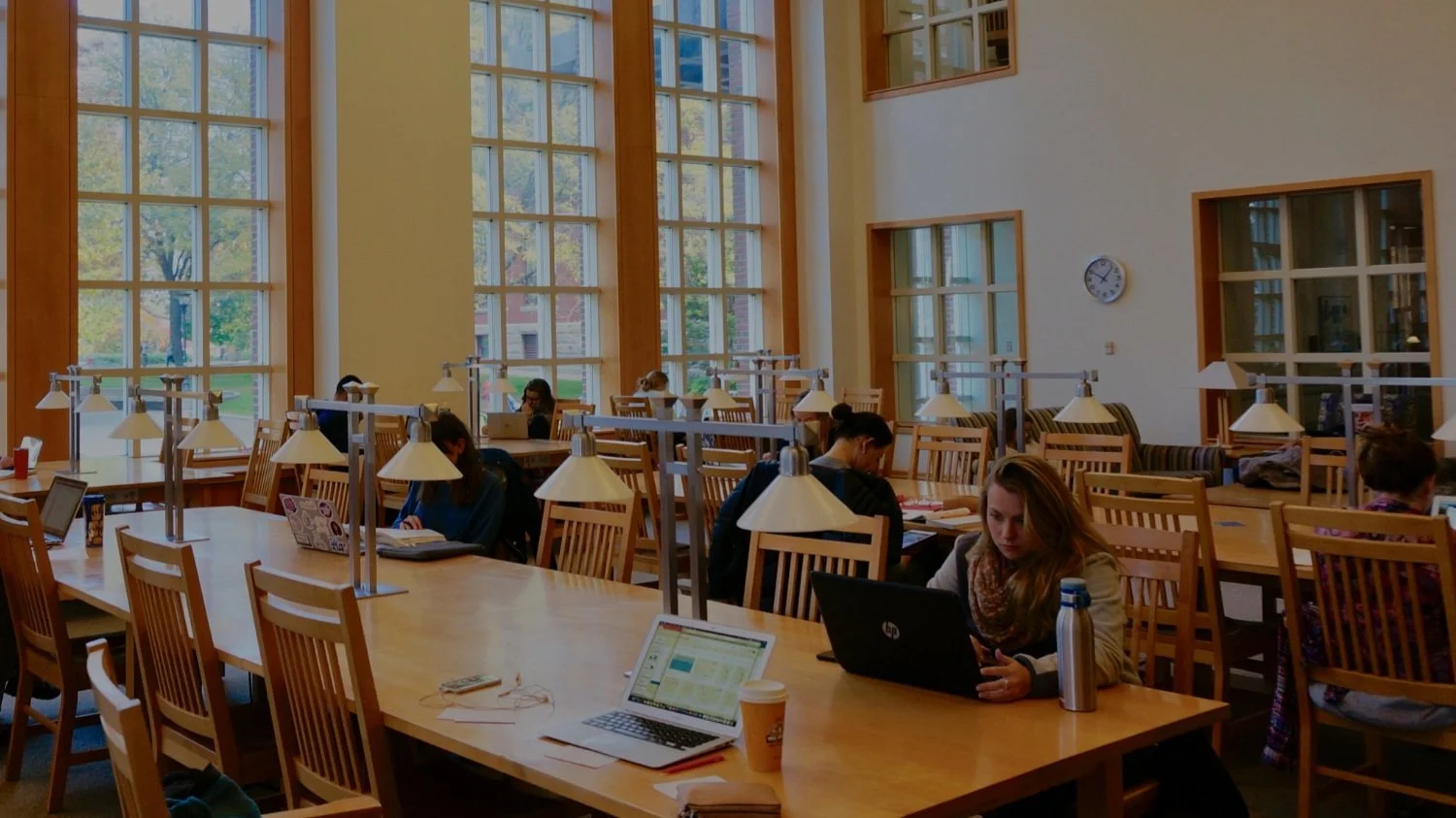 Individual Packages - The College Spy