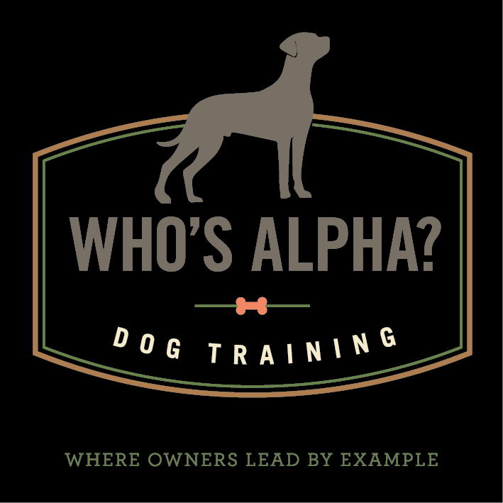 How To Train Alpha Dog