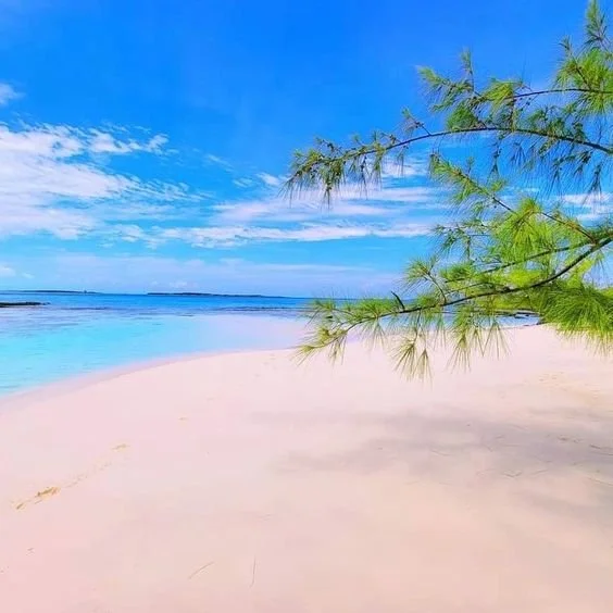 Coastal Blue Notes: Tips on How to Add Blue to Your Coastal Home