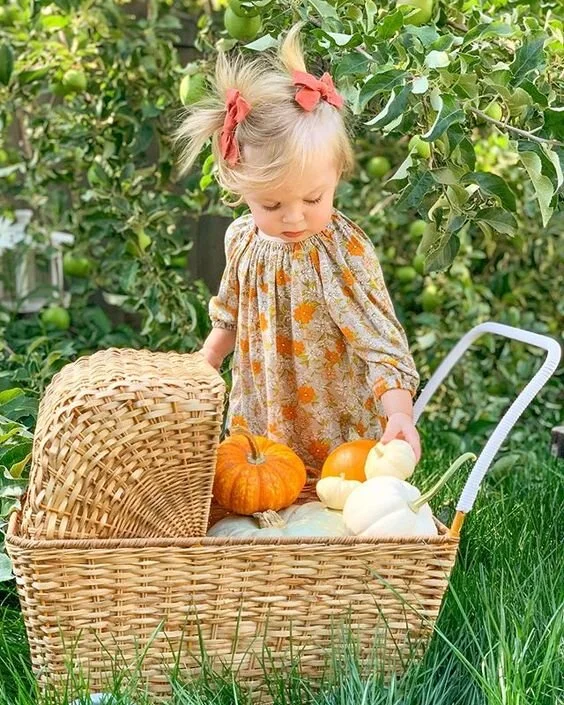 Feeling the Beauty of Fall Vibes