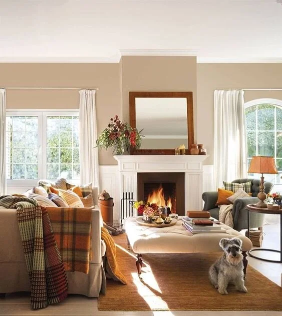 Design Notes-What is your Fireplace Style?