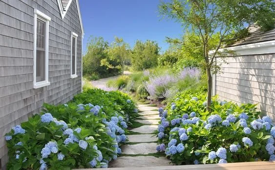 Beautiful Landscape Design on the Island of Nantucket