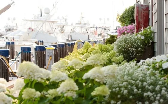 Beautiful Landscape Design on the Island of Nantucket