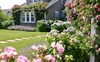 Beautiful Landscape Design on the Island of Nantucket