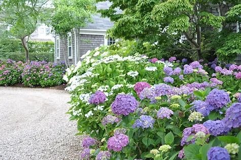 Beautiful Landscape Design on the Island of Nantucket