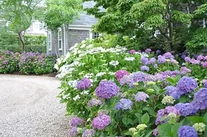 Beautiful Landscape Design on the Island of Nantucket