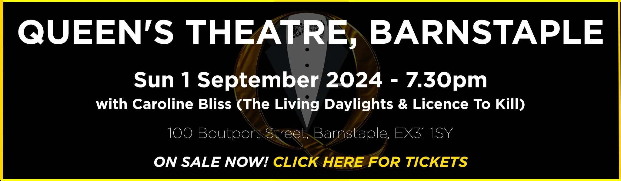 Q The Music Show - James Bond Tribute Band — See The Show