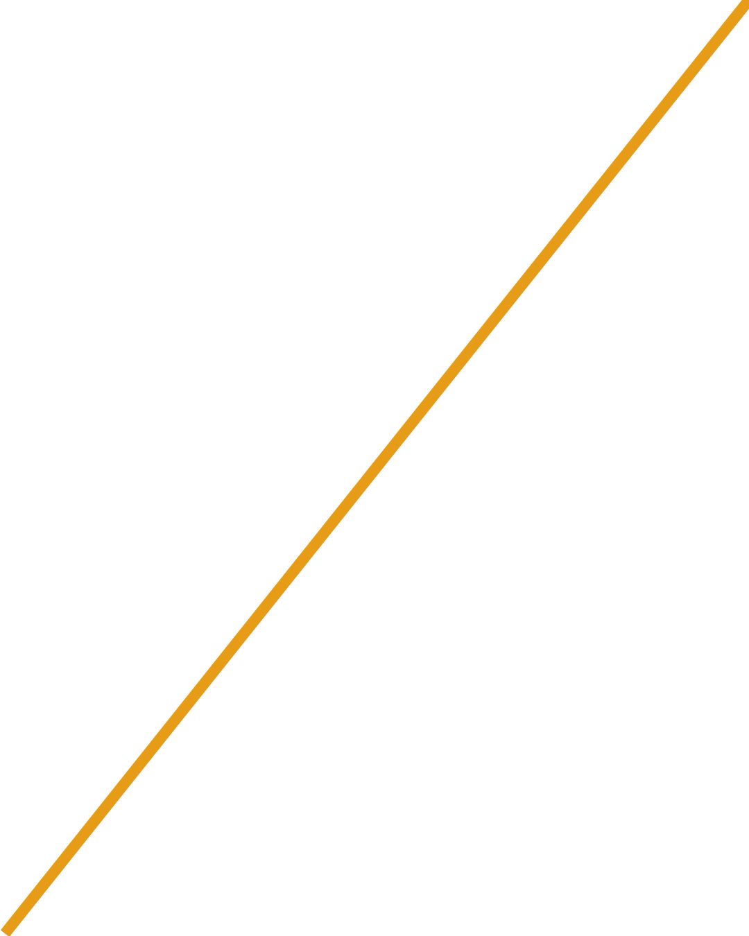 Coursen Security Group