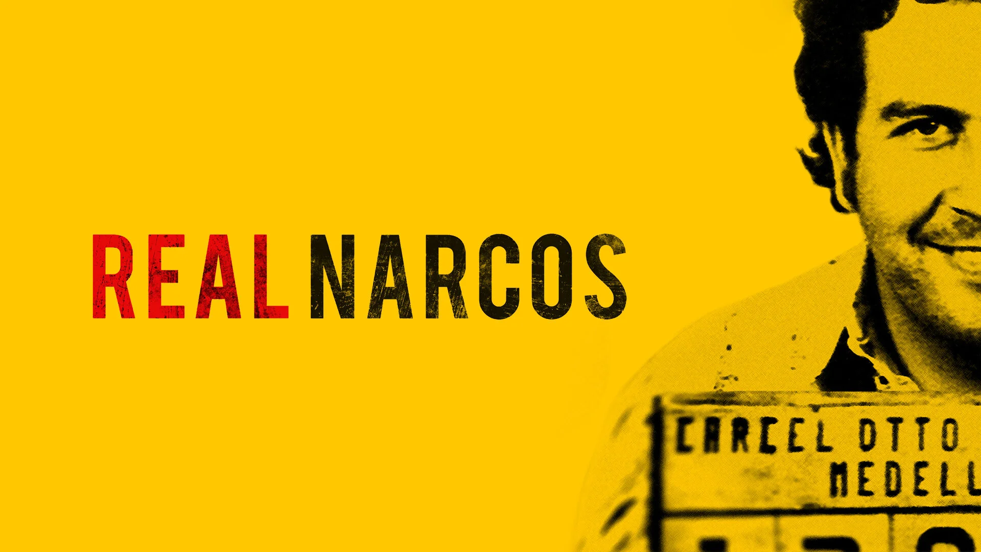 Noiser | History Podcasts | Taking You To The Heart Of The Story