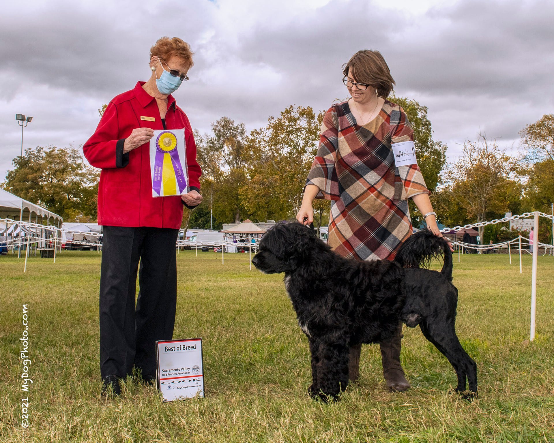 Specialty classes — Tailored Dog Training