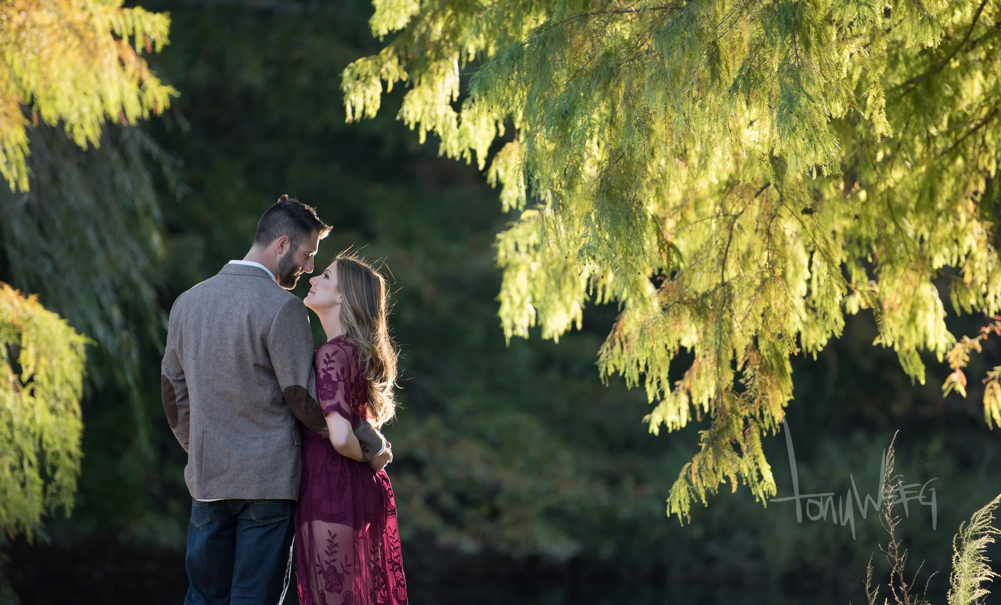 Tony Weeg Photography