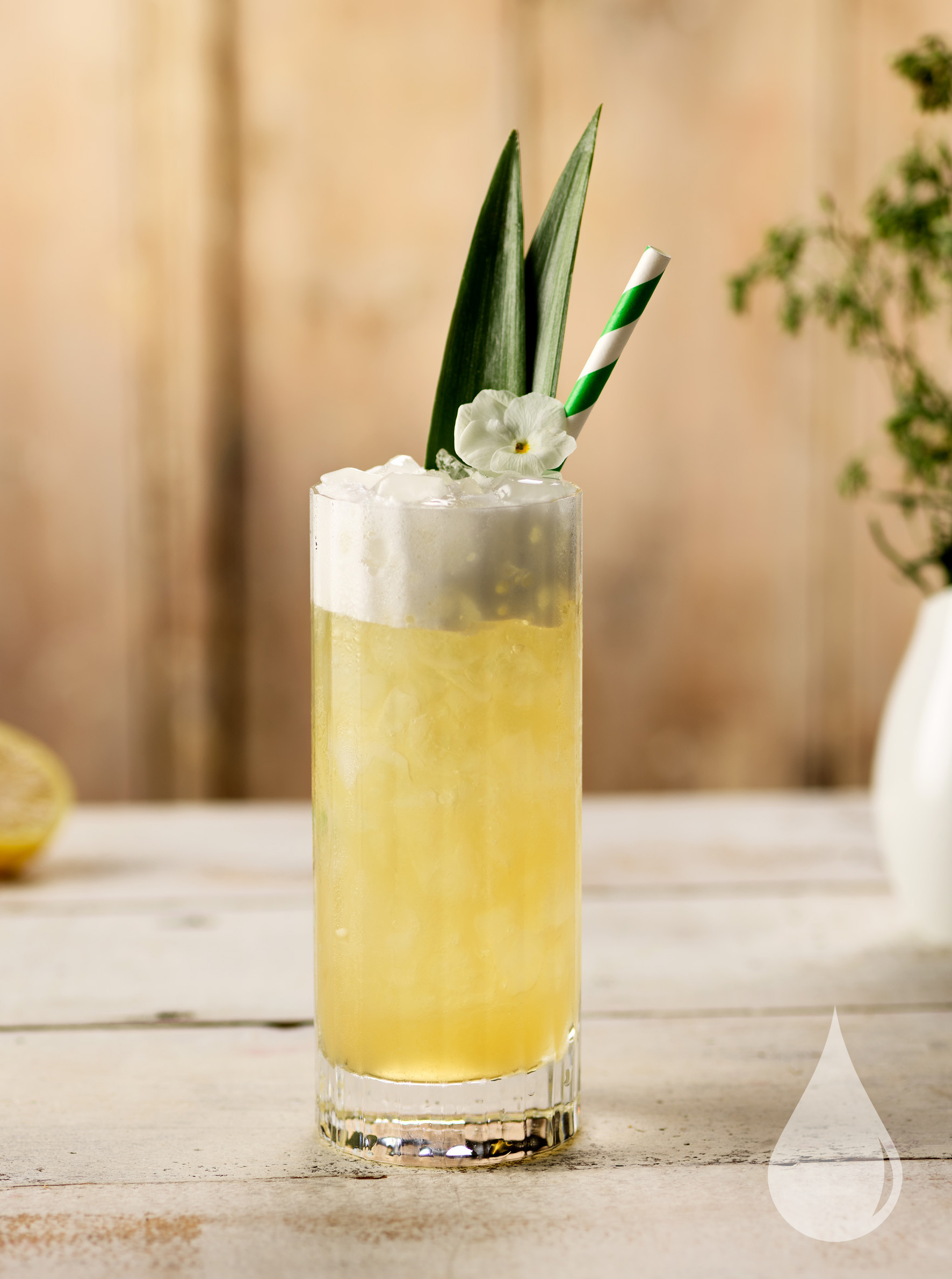 Bristol Syrup Company - Recipes