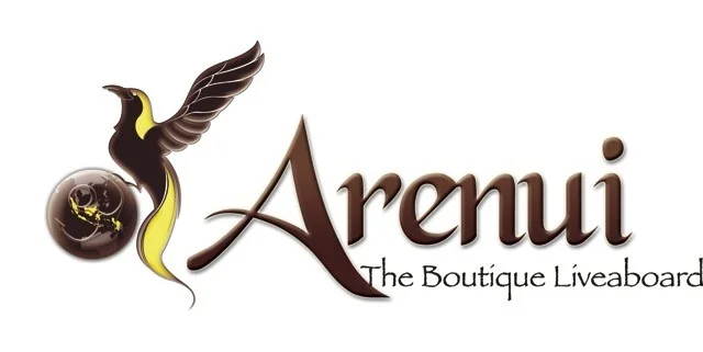 partners — Misool Foundation