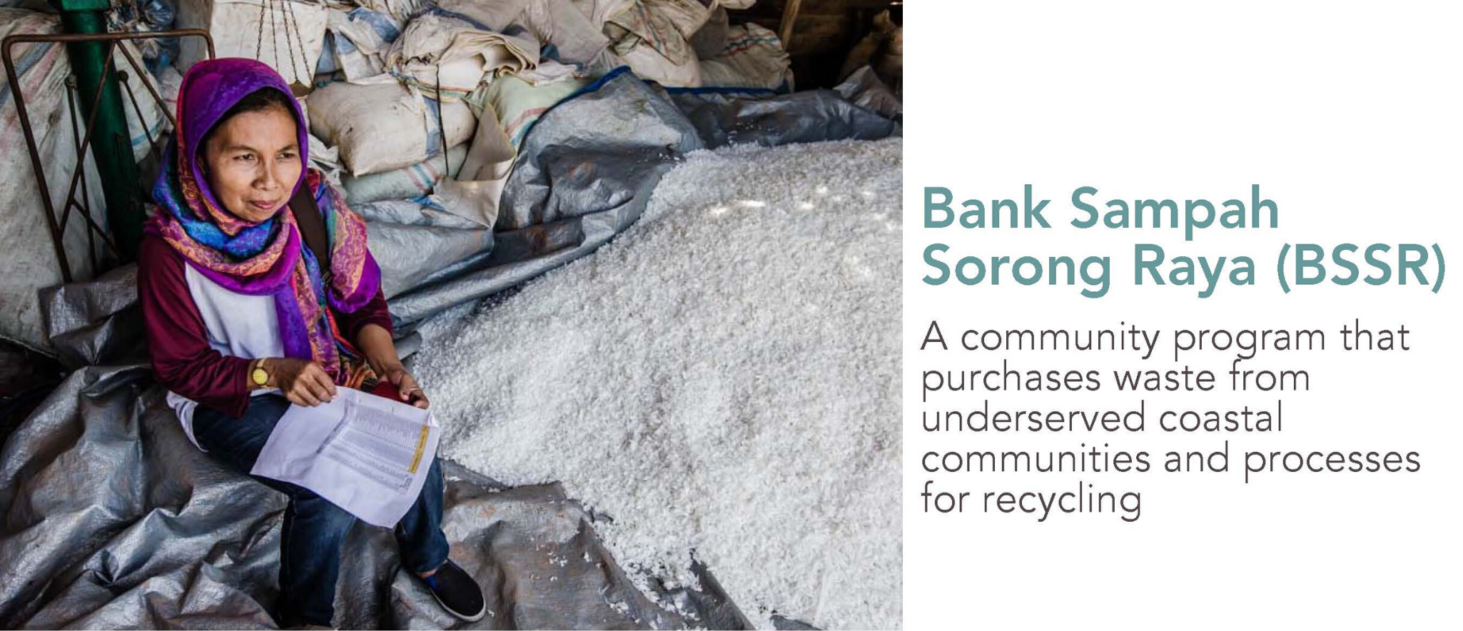 Our Projects — Misool Foundation