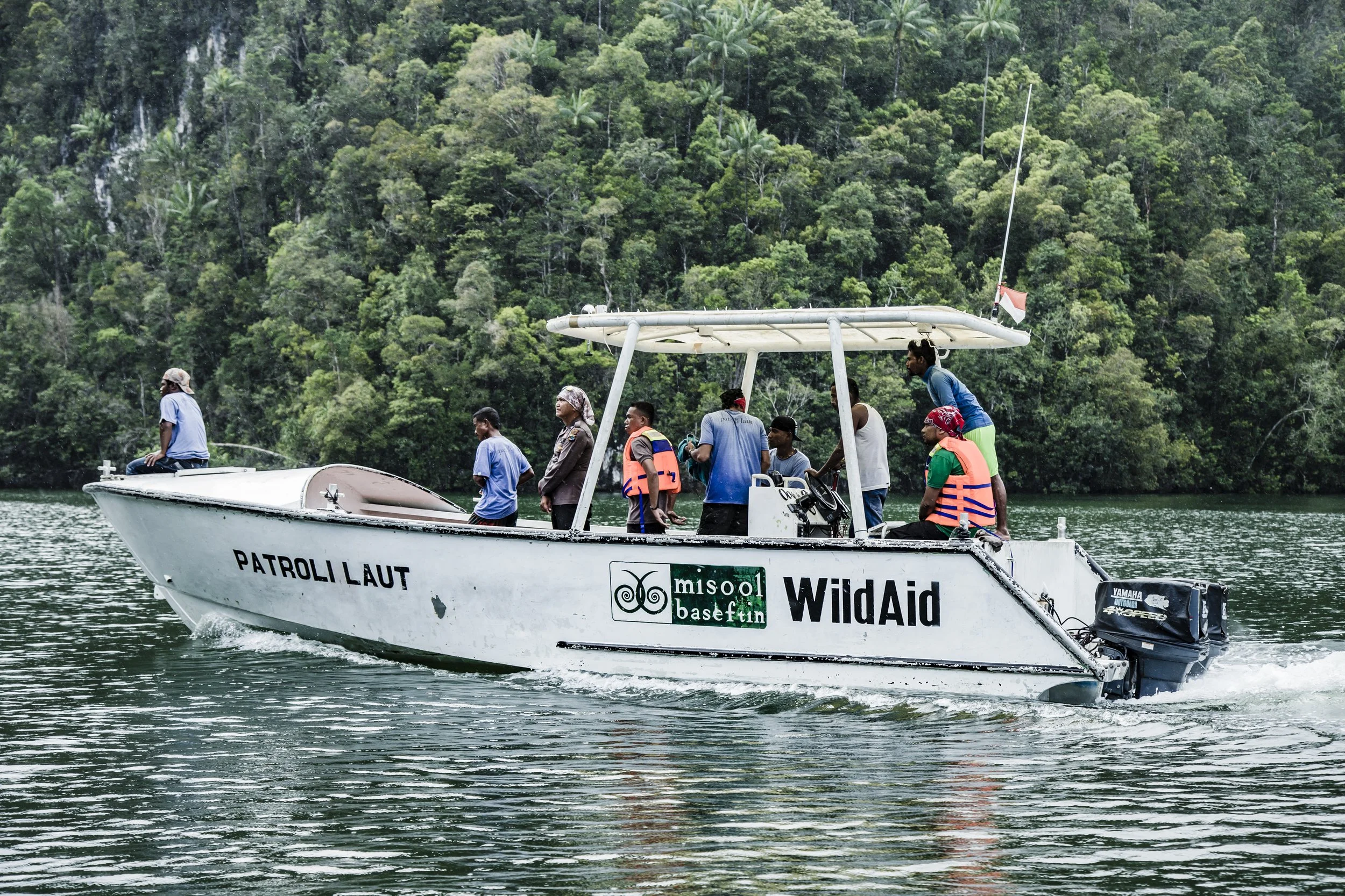 Our Projects — Misool Foundation