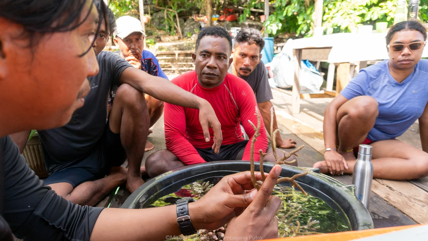 reef restoration project — Misool Foundation