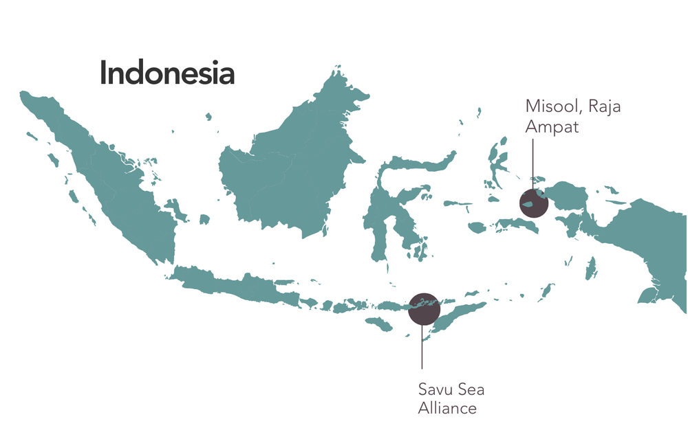 where we work — Misool Foundation