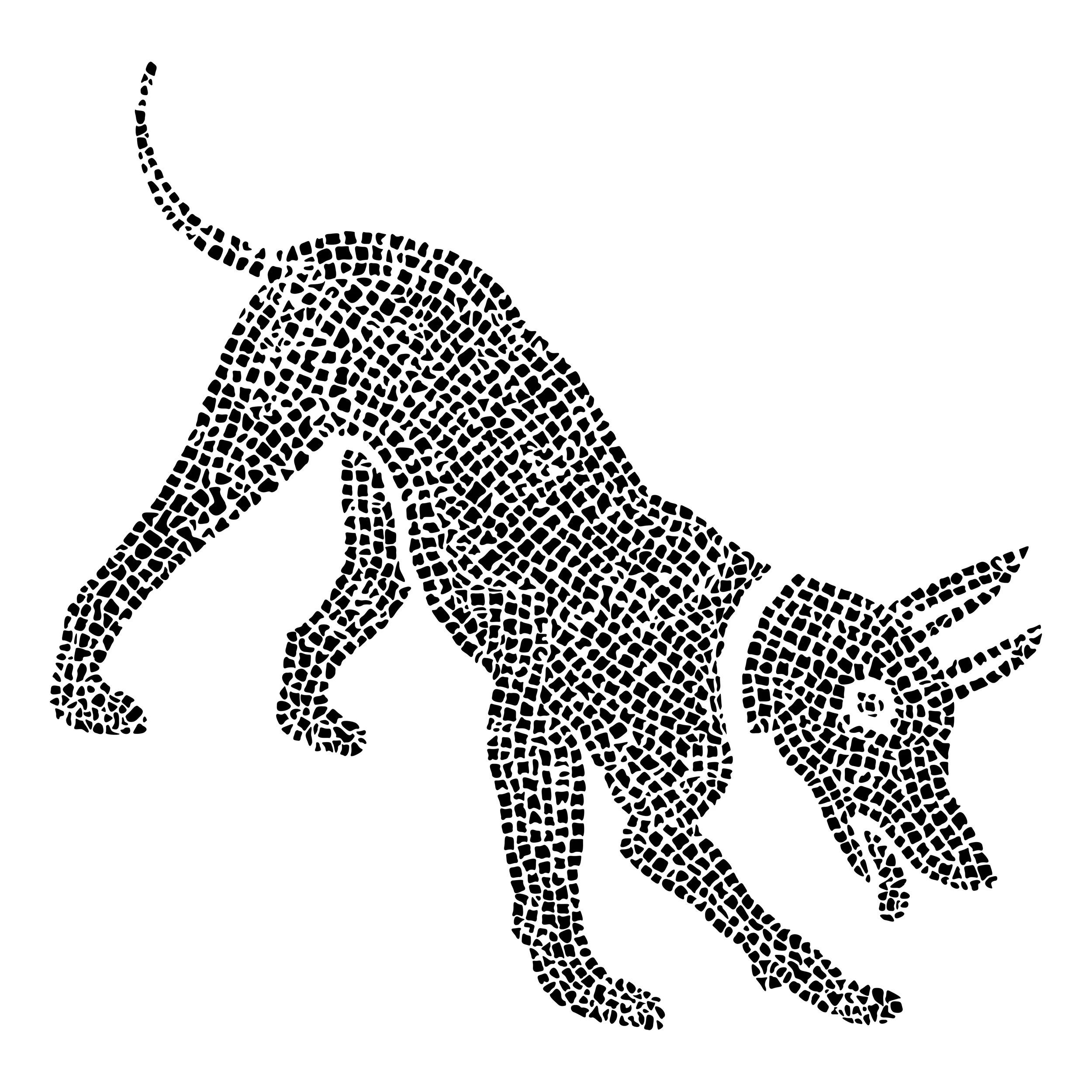 Dog Day Care | Contact us | Dog therapy - Canis of London — Canis In ...