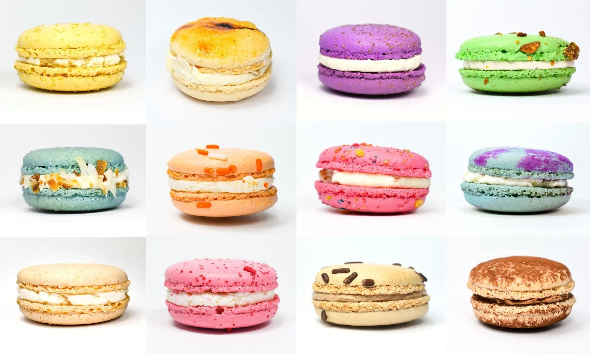 River Kitty Cat Café | Evansville, Indiana