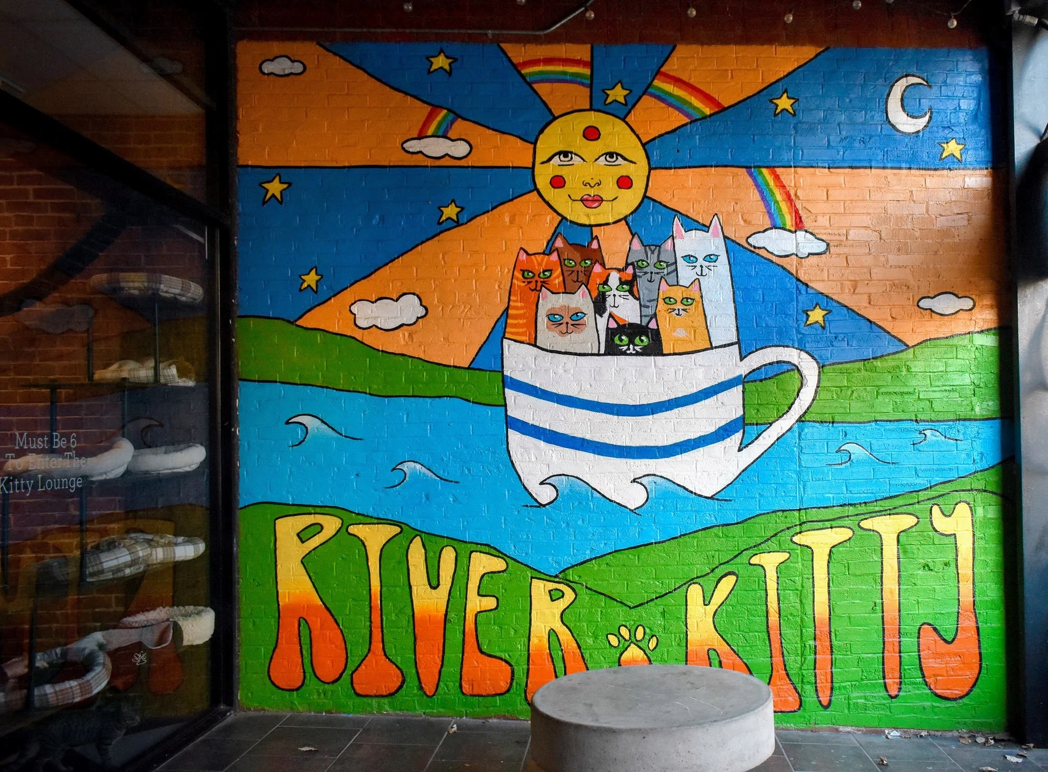 River Kitty Cat Café | Evansville, Indiana