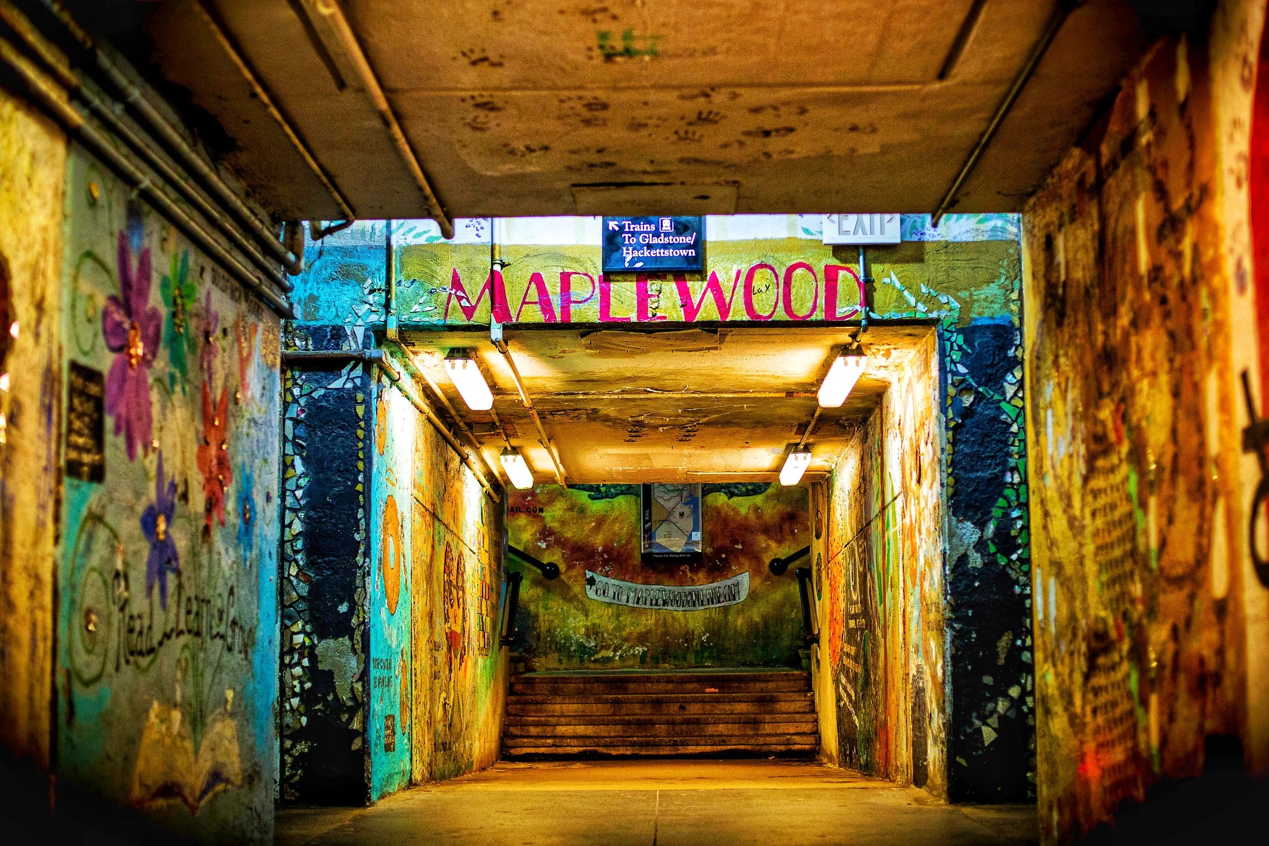 Live Love Lens Photography by Jamie Meier