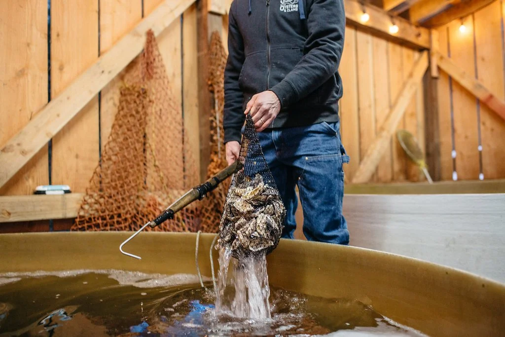 From Sea to Shell — Chelsea Farms