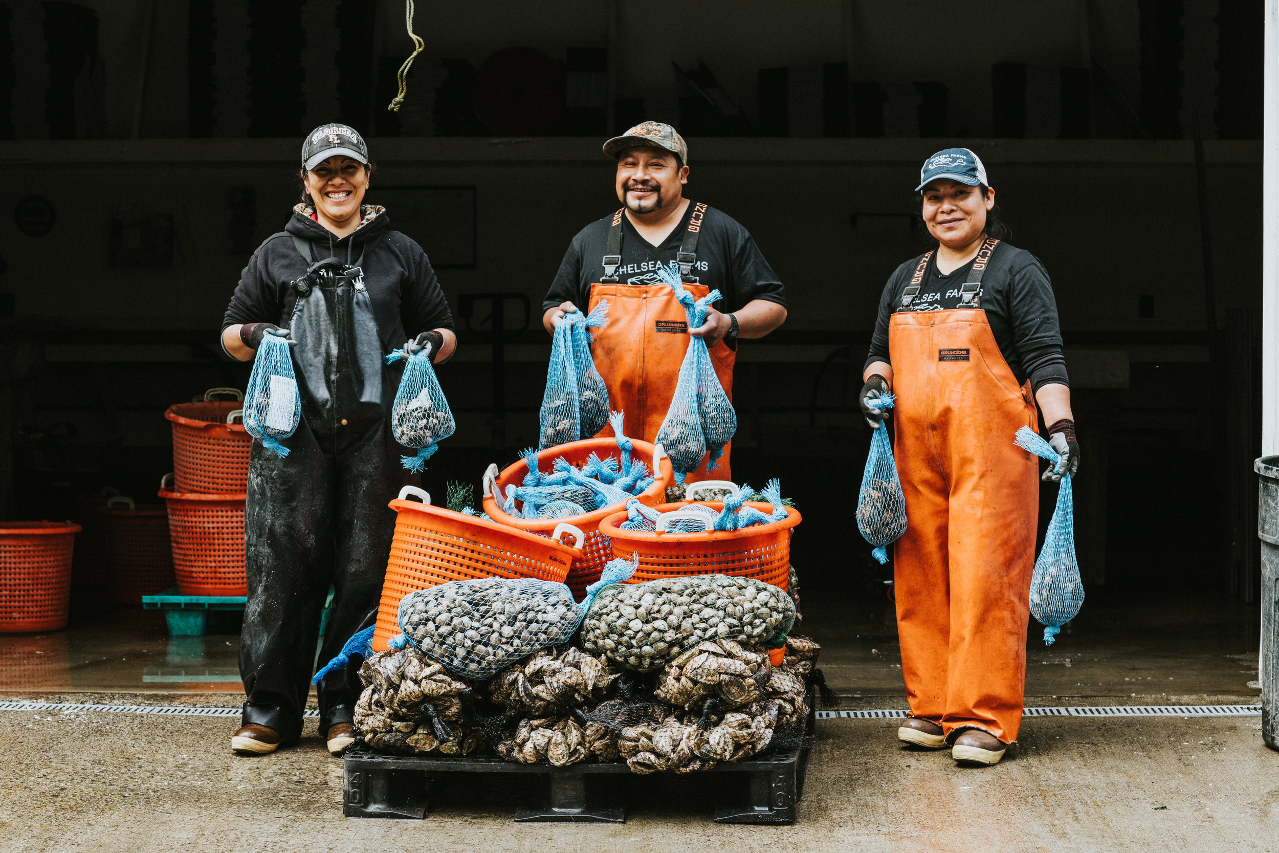 THE FARM — Chelsea Farms