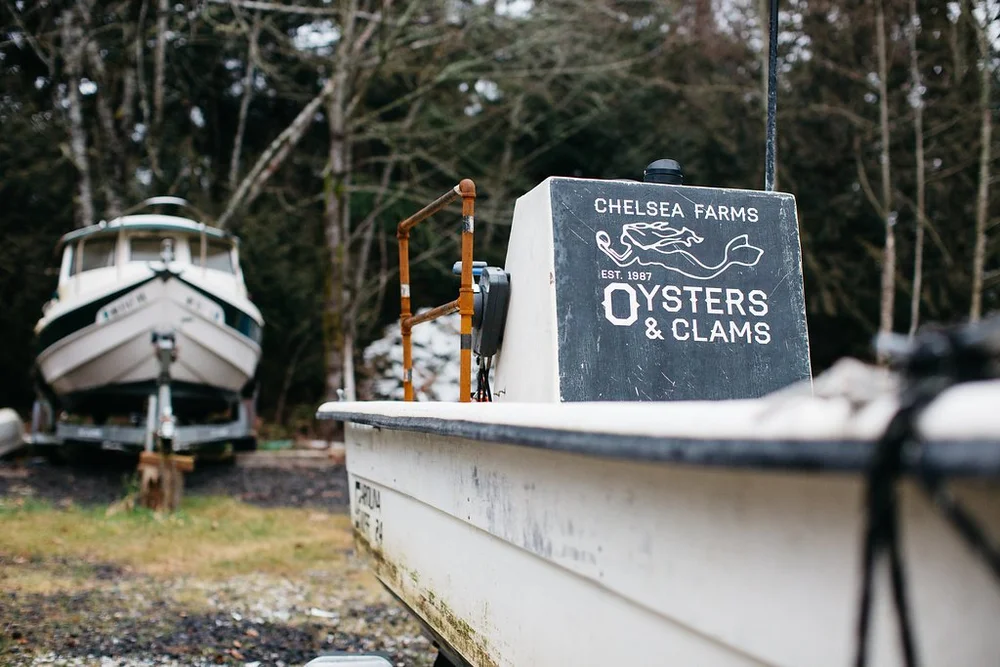 From Sea to Shell — Chelsea Farms