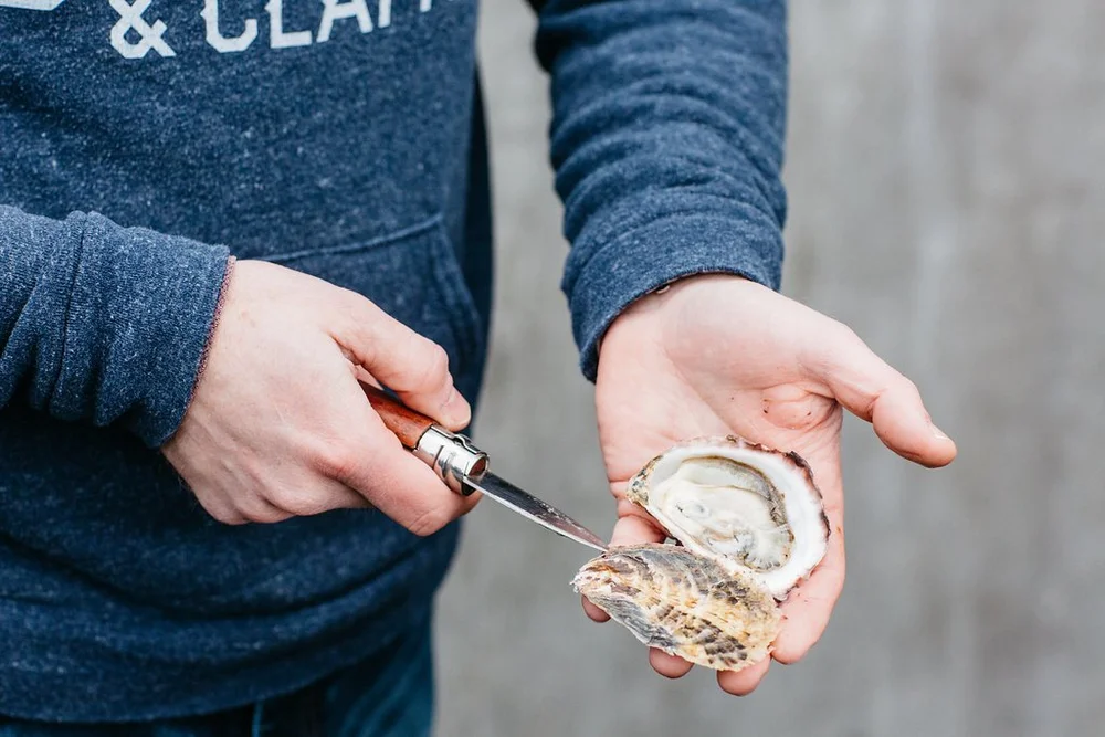 From Sea to Shell — Chelsea Farms