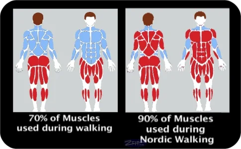 Health Benefits — ANWA.us