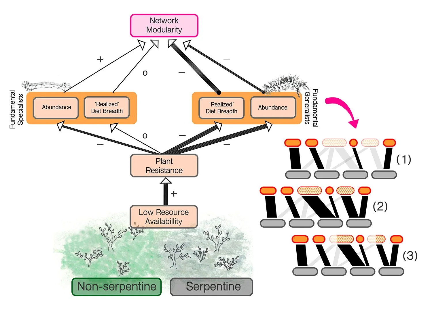 Research — Robinson Lab