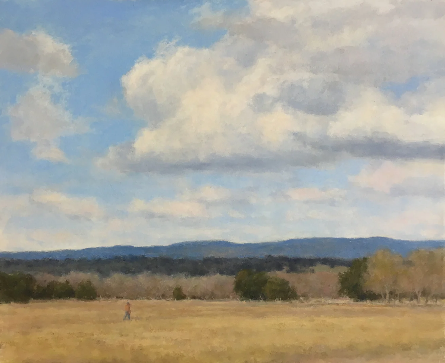 D. LaRue Mahlke
