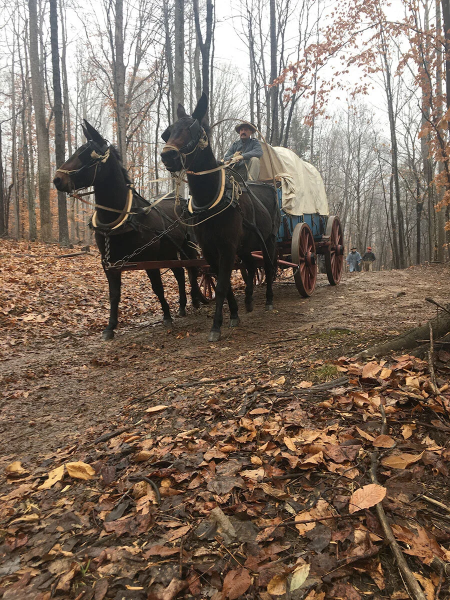 Fluvanna Artillery Winter Quarters — The Liberty Rifles