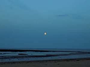 Saltwater Bathing — ESSENCE + ALCHEMY®