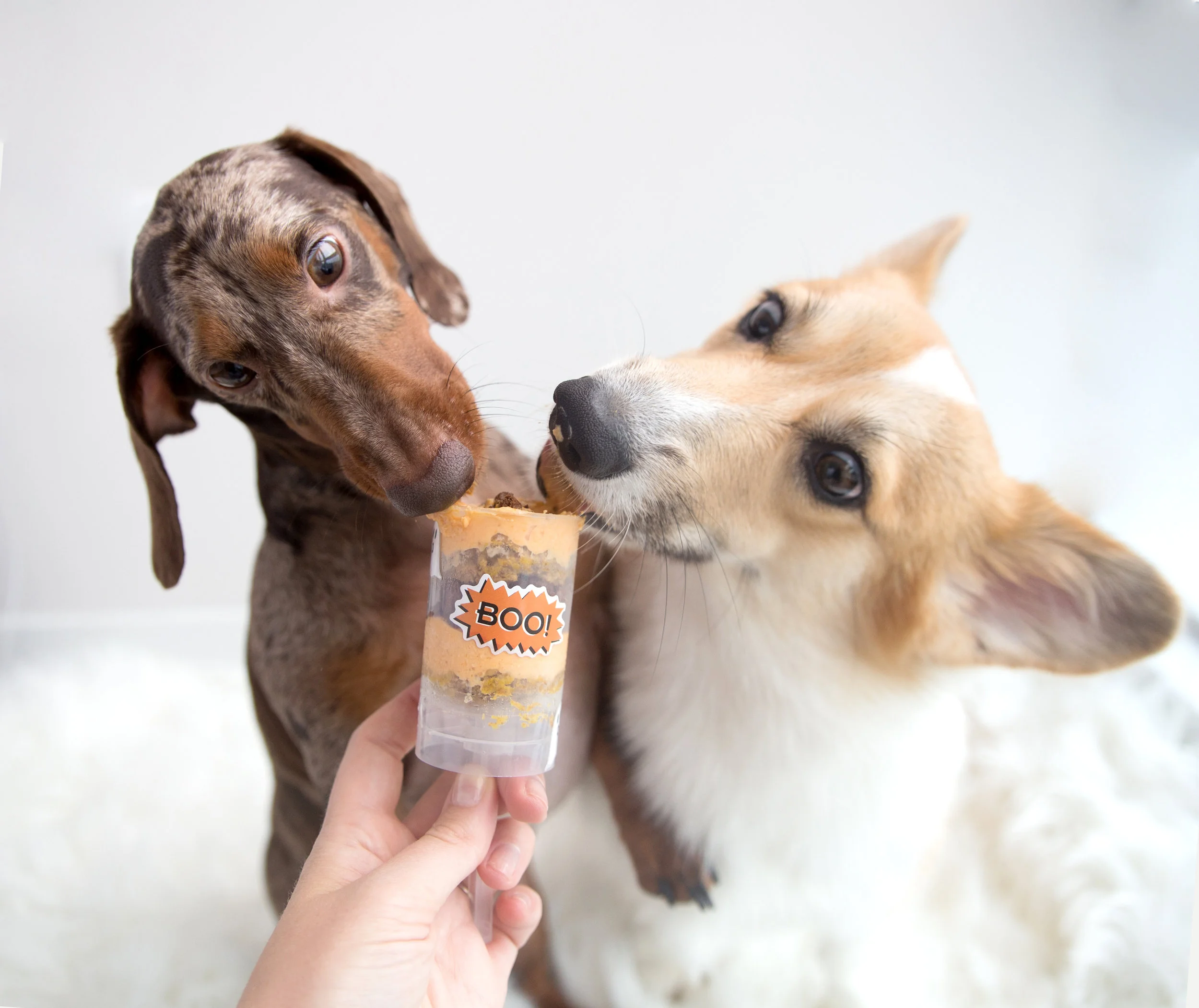 DIY Halloween Push-Pop Dog Treats