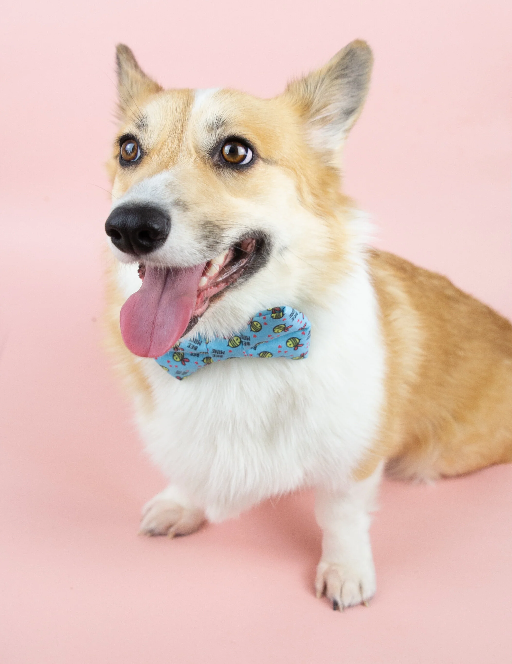 Our Favorite Valentine's Day Styles from Dapper Dexter