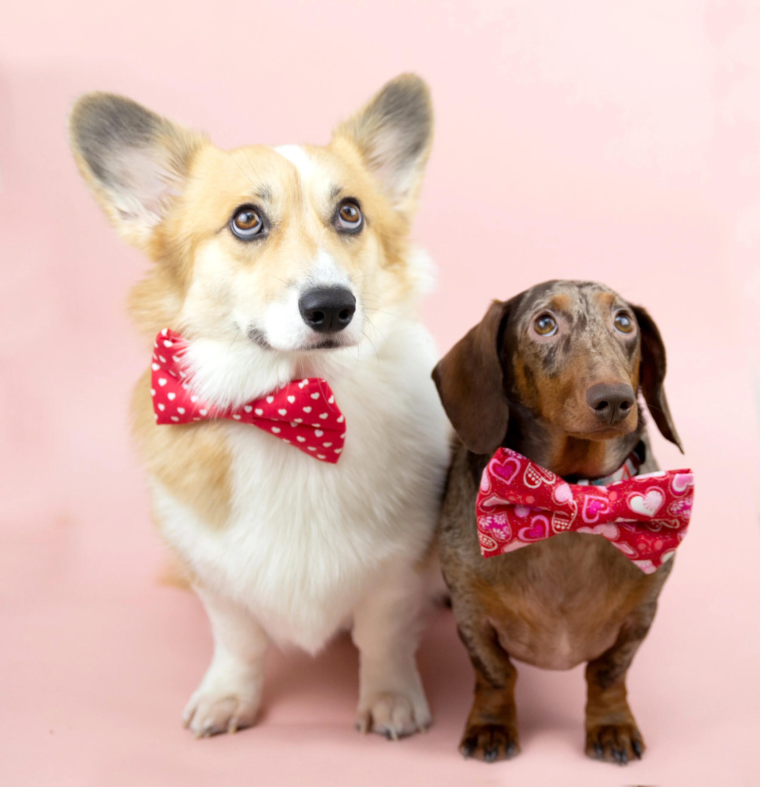 Our Favorite Valentine's Day Styles from Dapper Dexter