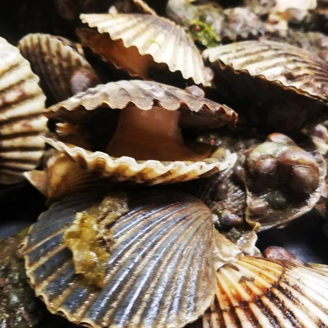 Choose Local F.I.S.H.