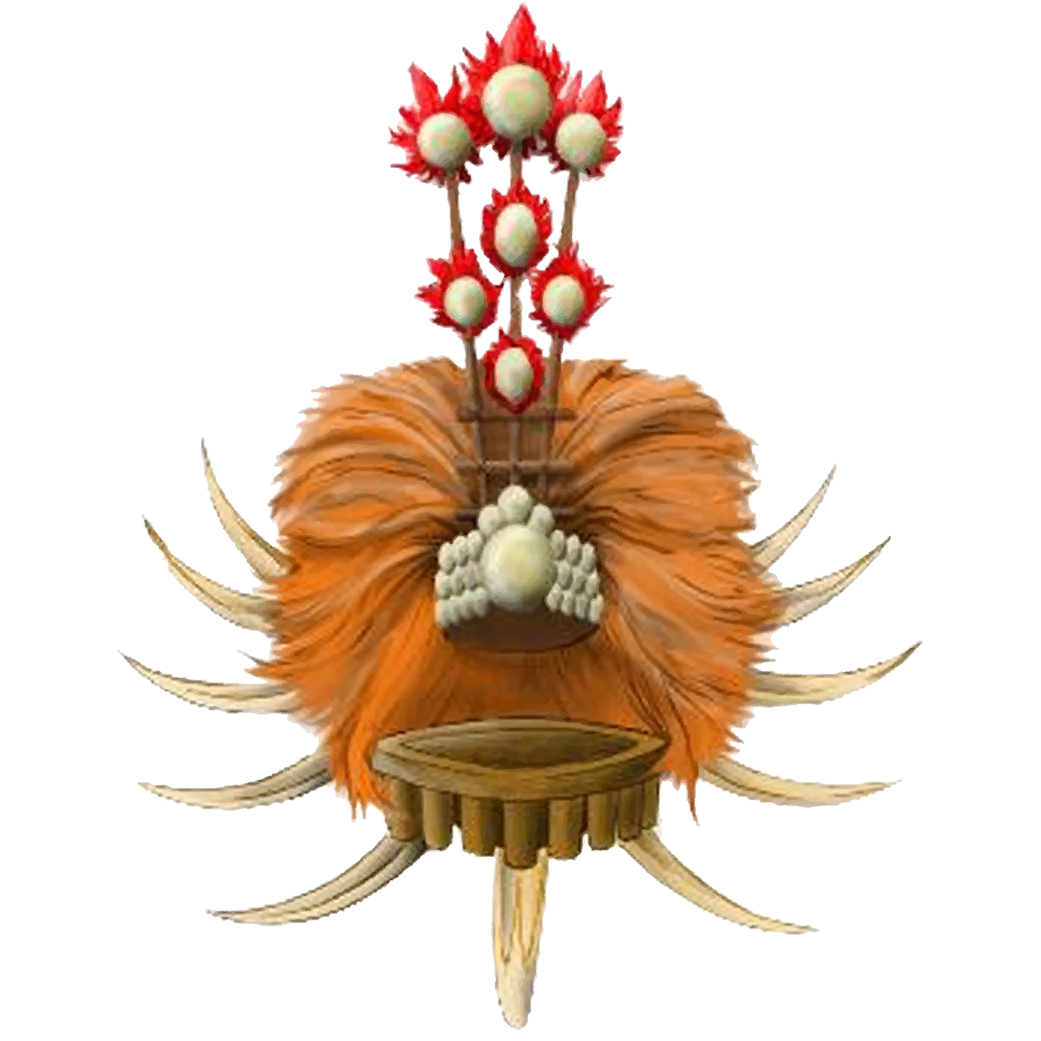 Aua | American Samoa Visitors Bureau